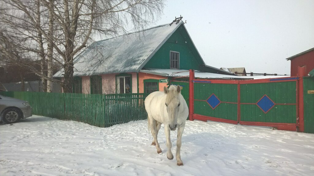 Hayvancılık конный центр Эпона, , foto