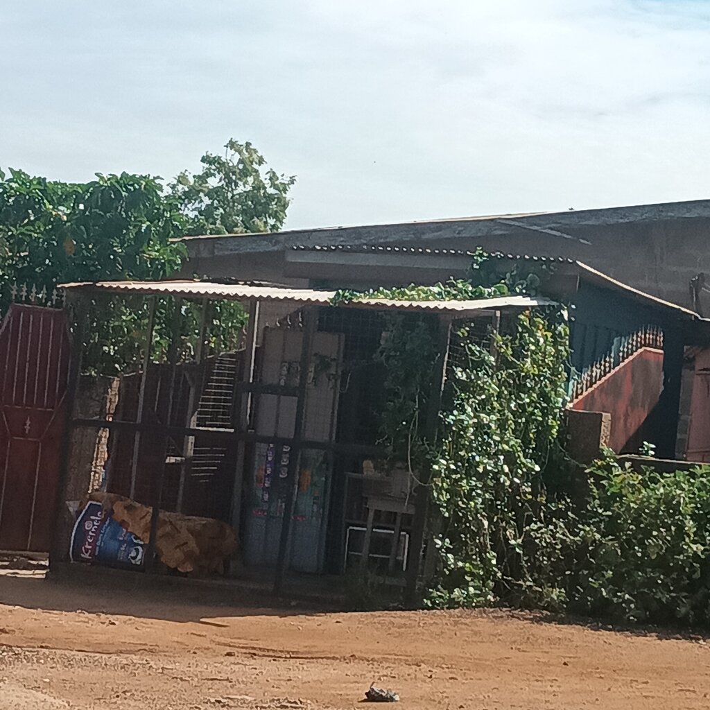 Dondurulmuş gıda firmaları B and G, Dünya, foto