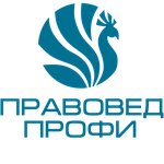 Pravoved Profi (Revolyutsionnaya Street No:57), gerçek kişilerin iflası  Ufa'dan