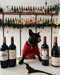 Open Wine (Harav Yitzhak Yedidya Frenkel No:32, Tel Aviv), alkollü içecekler  Tel Aviv'den