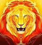 Amber lion (ulitsa Novosyolov No:21), spor ve jimnastik salonları  Novokuznetsk'ten