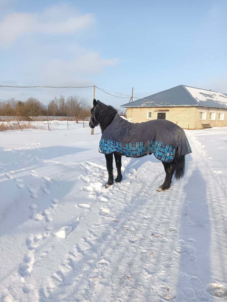 Hayvancılık Заря, Vologodskaya oblastı, foto