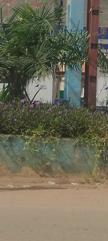 Benzin istasyonu African Petroleum Station, Abican, foto