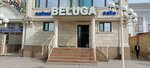 Beluga (No:2, mikrorayon Zhansaya), kafe  Taraz'dan