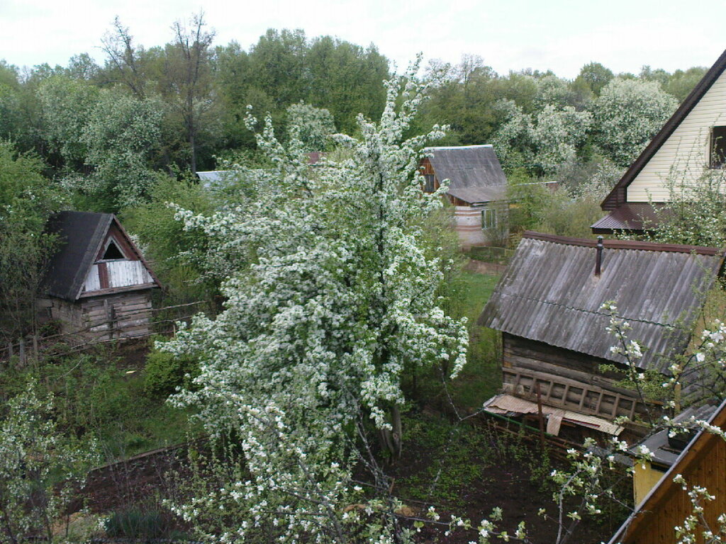 Bahçecilik dernekleri ve kuruluşları Нефтяник, Başkurdistan, foto