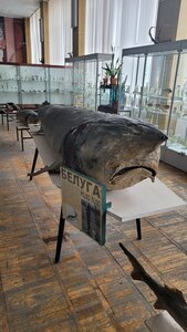 Zoological Museum of Dagestan state University (Batyraya Street No:2А, Makhachkala), müzeler ve sanat galerileri  Makhachkala'dan