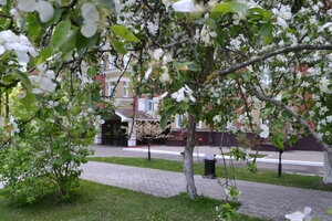Druzhba (Mayakovskogo Street No:18), otel  Jukovski'den