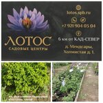 Лотос (Kholmistaya ulitsa No:1, massiv Mendsary, kottedzhny posyolok Korela park), fidan yetiştiriciliği  Saint‑Petersburg ve Leningradskaya oblastından