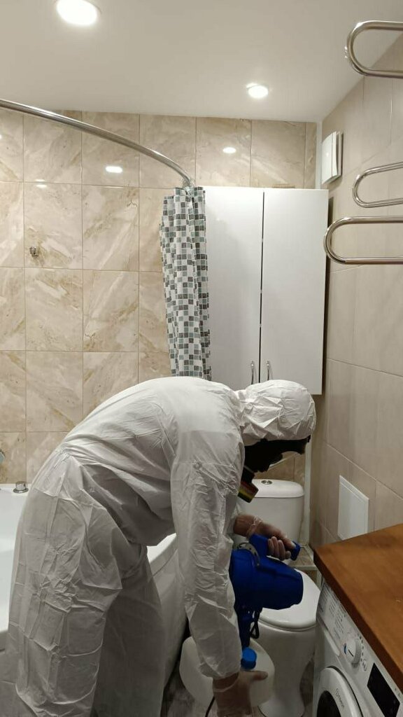 Haşere ilaçlama firmaları Ask Service, Saint‑Petersburg ve Leningradskaya oblastı, foto