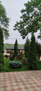 Кафе (Rostov Region, Kamenskiy rayon, Malokamenskoye selskoye poseleniye), kafe  Rostovskaya oblastından