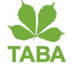 Tava (Dekabristov Street No:179), soba, şömine  Kazan'dan