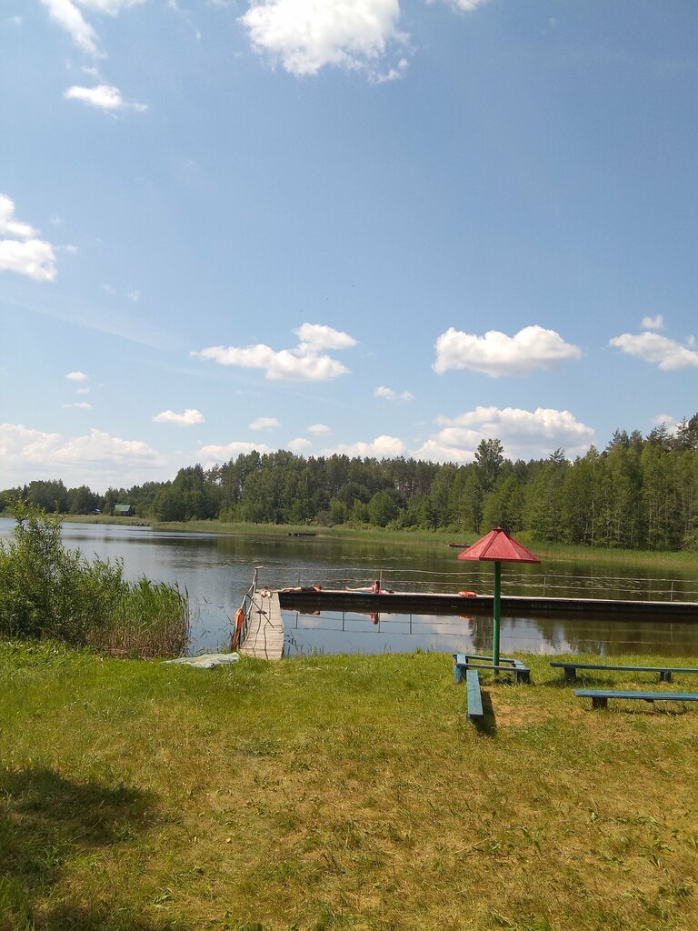 Yaz kampı Детский оздоровительный лагерь Ленок, Pskovskaya oblastı, foto