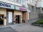 Цветы (Karaidelskaya ulitsa No:6), çiçekçiler  Ufa'dan