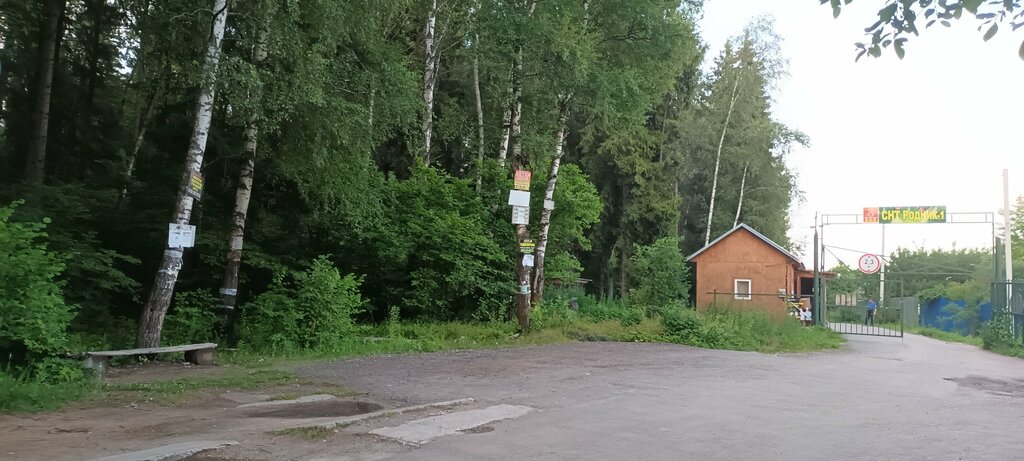 Piknik alanı Место для пикника, Vladimirskaya oblastı, foto