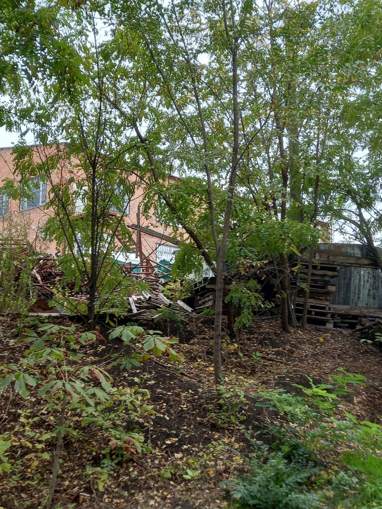 Ayakkabı firmaları Обувной цех, Rostov‑na‑Donu, foto