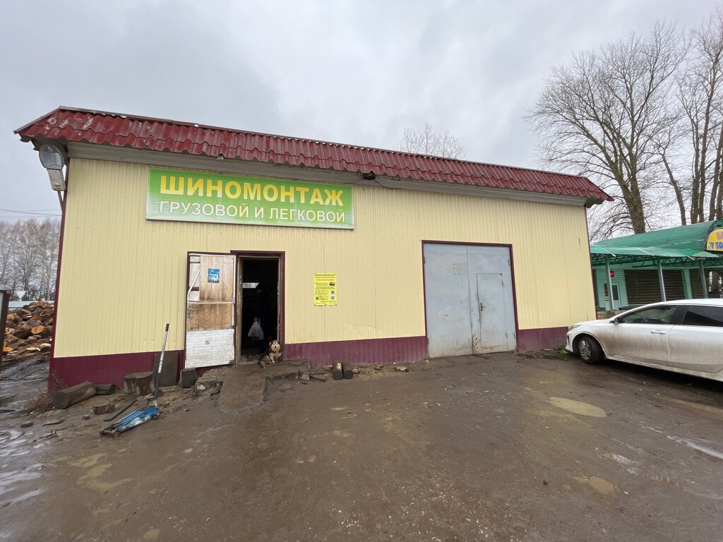 Oto lastik tamiri Шиномонтаж, Penzenskaya oblastı, foto