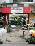 Black Rose Flowers (Kozyatağı Mah., Kocayol Cad., No:52C, Kadıköy, İstanbul), çiçekçiler  İstanbul'dan