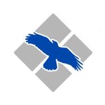 Blue Raven Executive Protection and Security Services (United States, Alexandria, 6969 Richmond Hwy, Suite 200-A), danışmanlık hizmetleri  Alexandria'dan