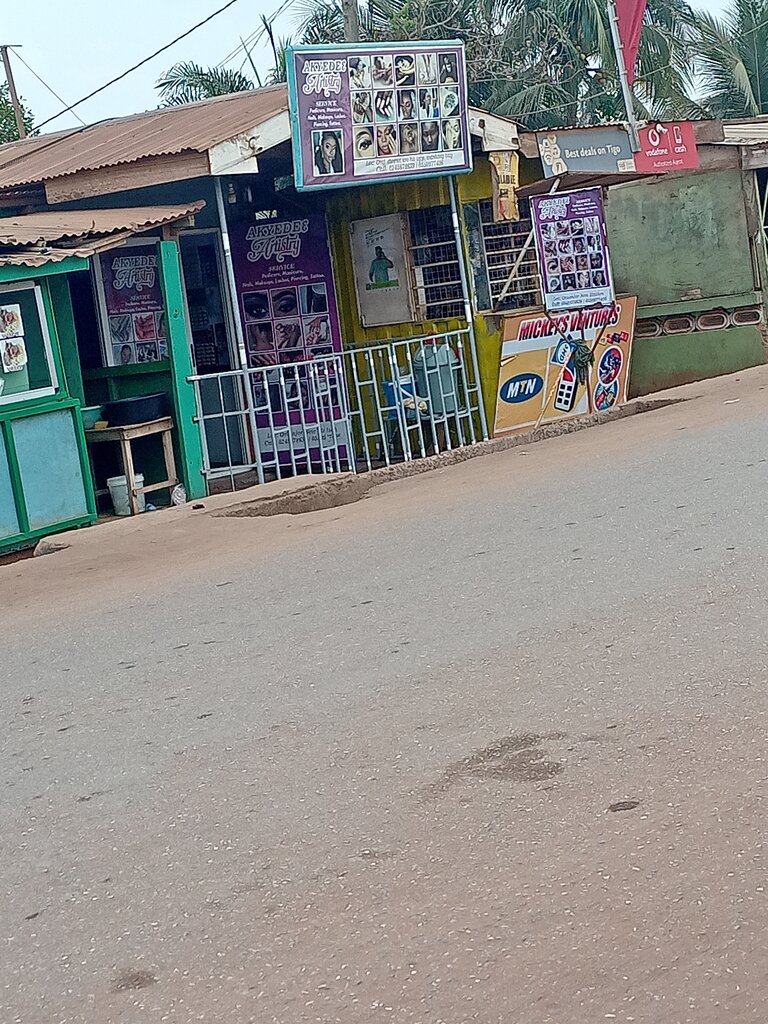 Berberler Mickies, Dünya, foto