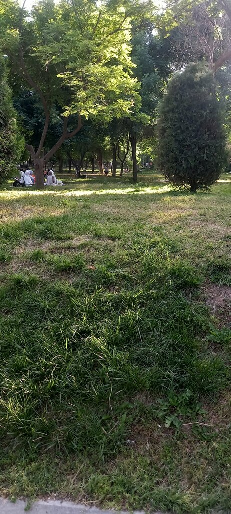 Piknik alanı Picnic spot, Taşkent, foto
