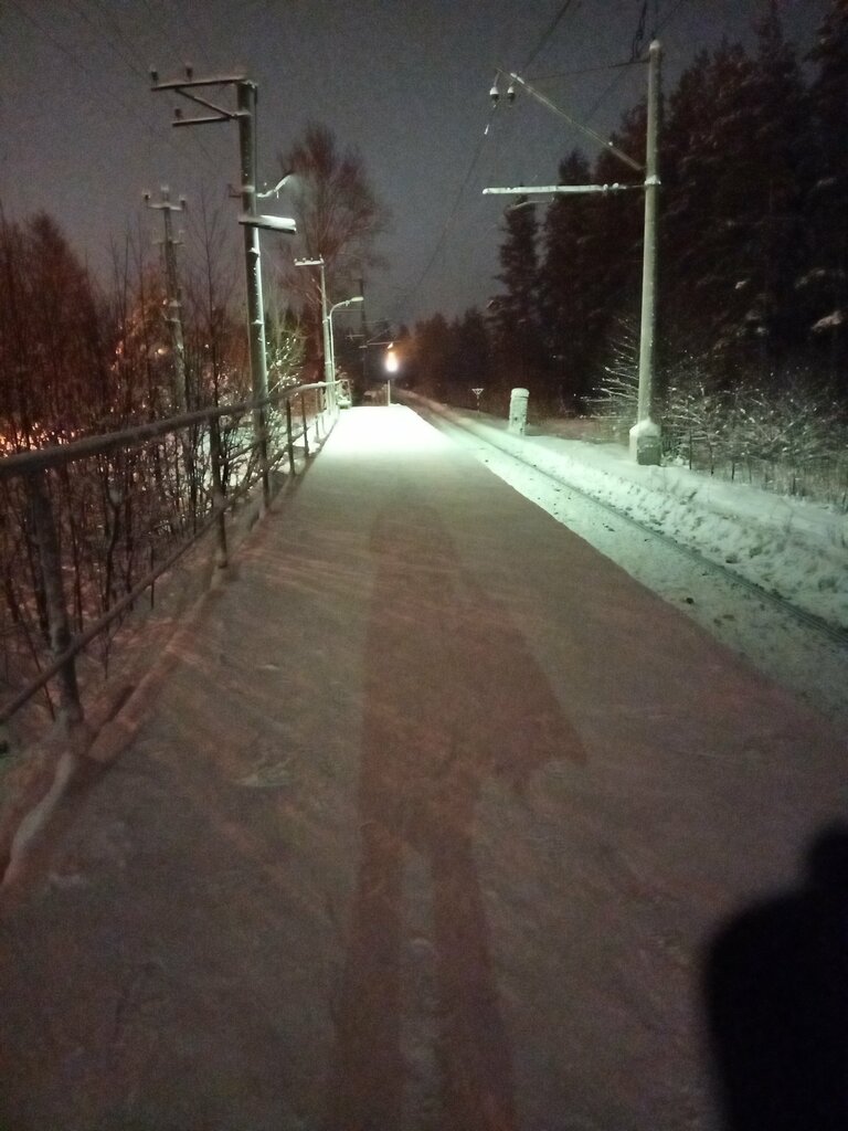 Tren istasyonu остановочный пункт 1-я платформа, Saint‑Petersburg ve Leningradskaya oblastı, foto