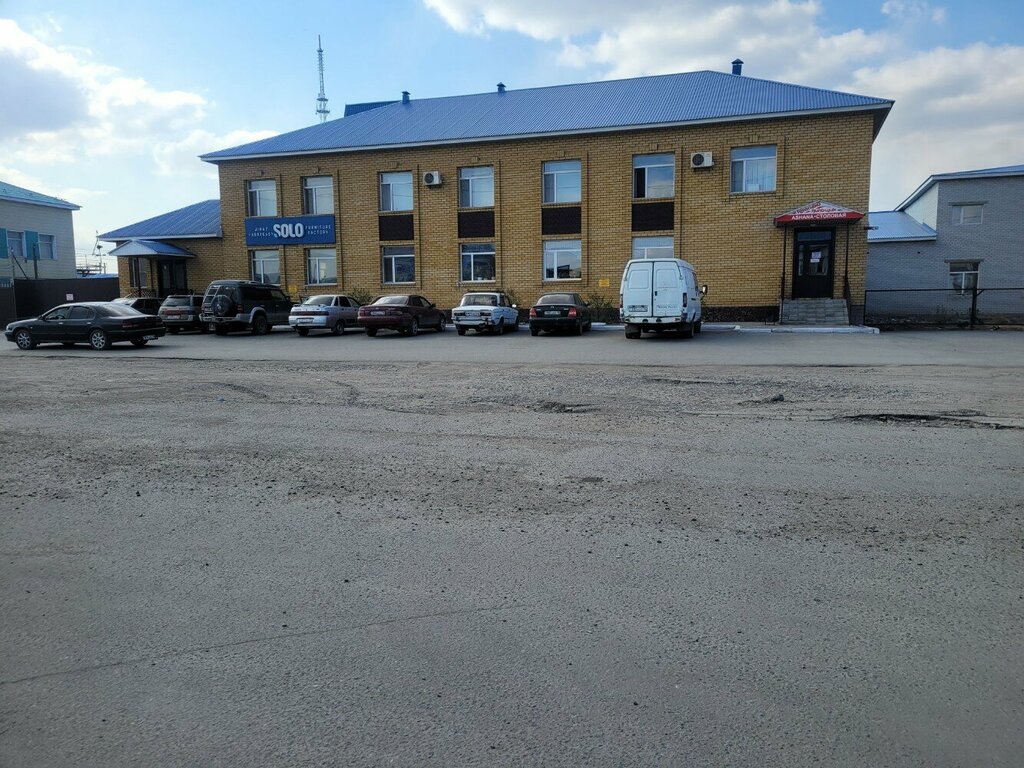 Kafe Red Sawfly, Semey, foto