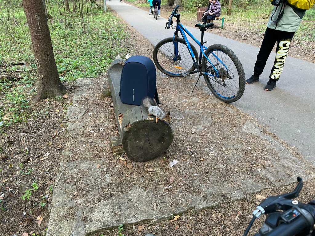 Unutulmaz olayların yeri Место кормления белок, Perm, foto