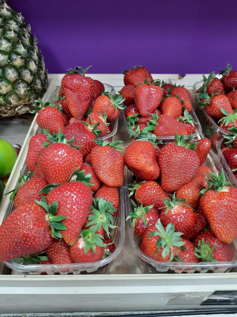 Manavlar Sose, Kalujskaya oblastı, foto