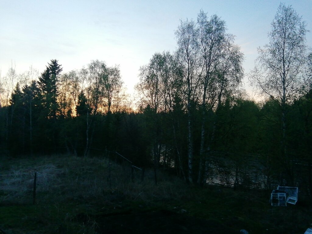 Tren istasyonu остановочный пункт 863 километр, Karelya, foto