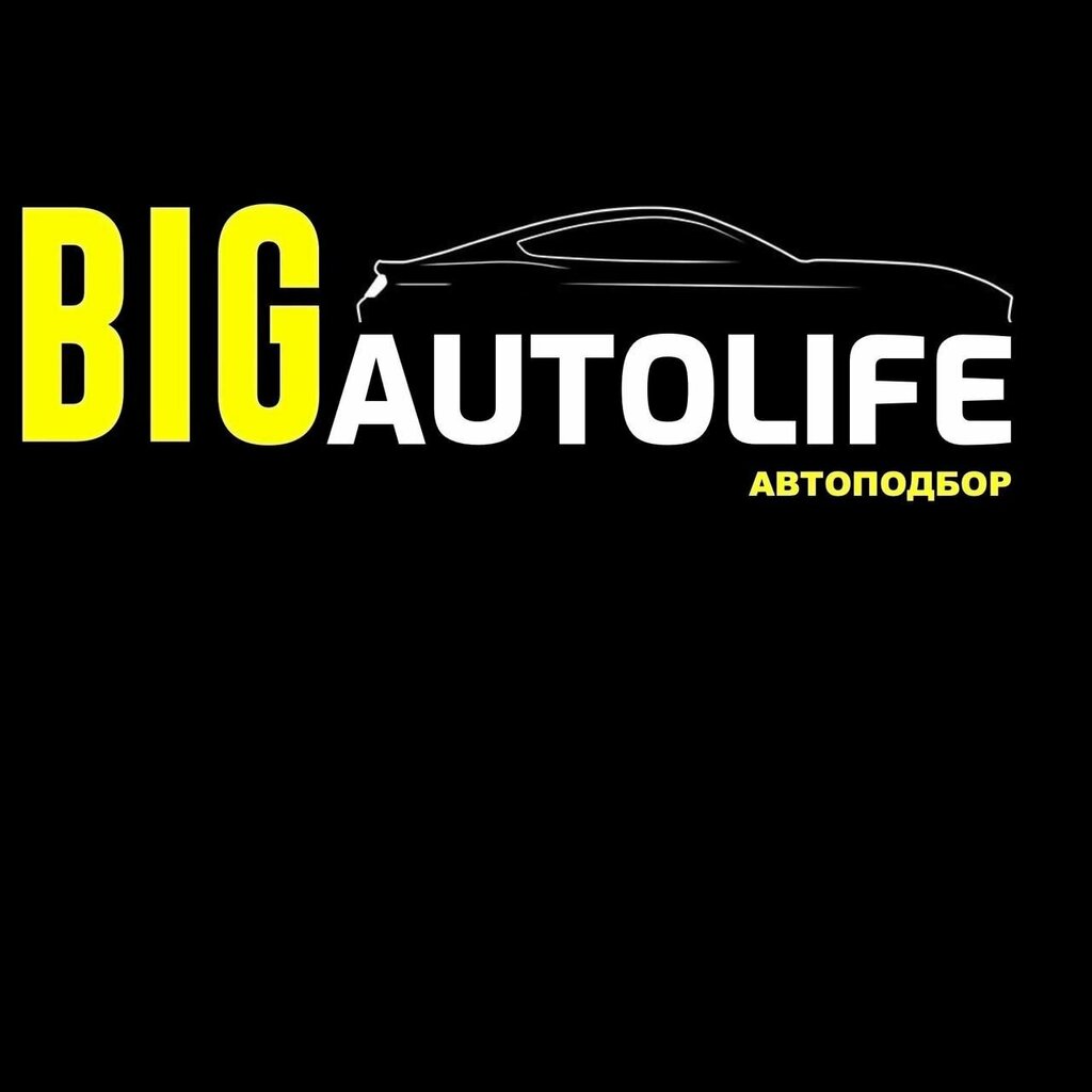 Araba seçimi hizmeti BigAutolife, Reutov, foto