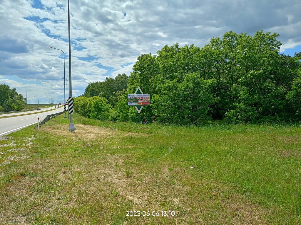 Orman урочище Махрин Лог, Belgorodskaya oblastı, foto