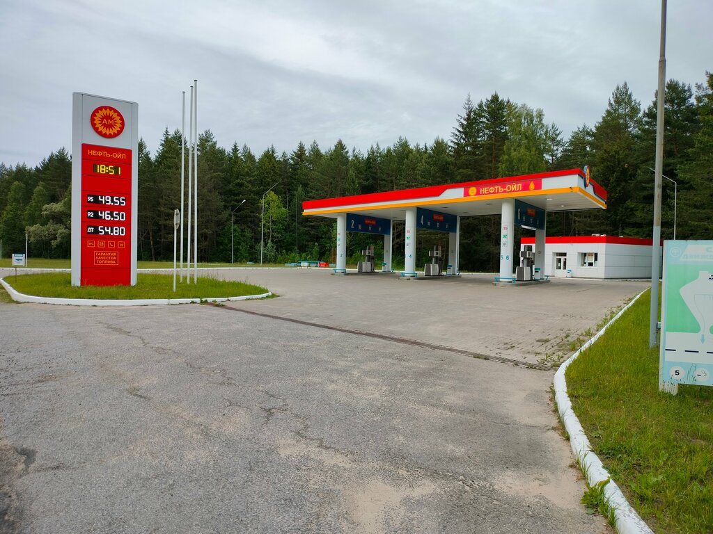 Benzin istasyonu Нефть-ойл, Kalujskaya oblastı, foto