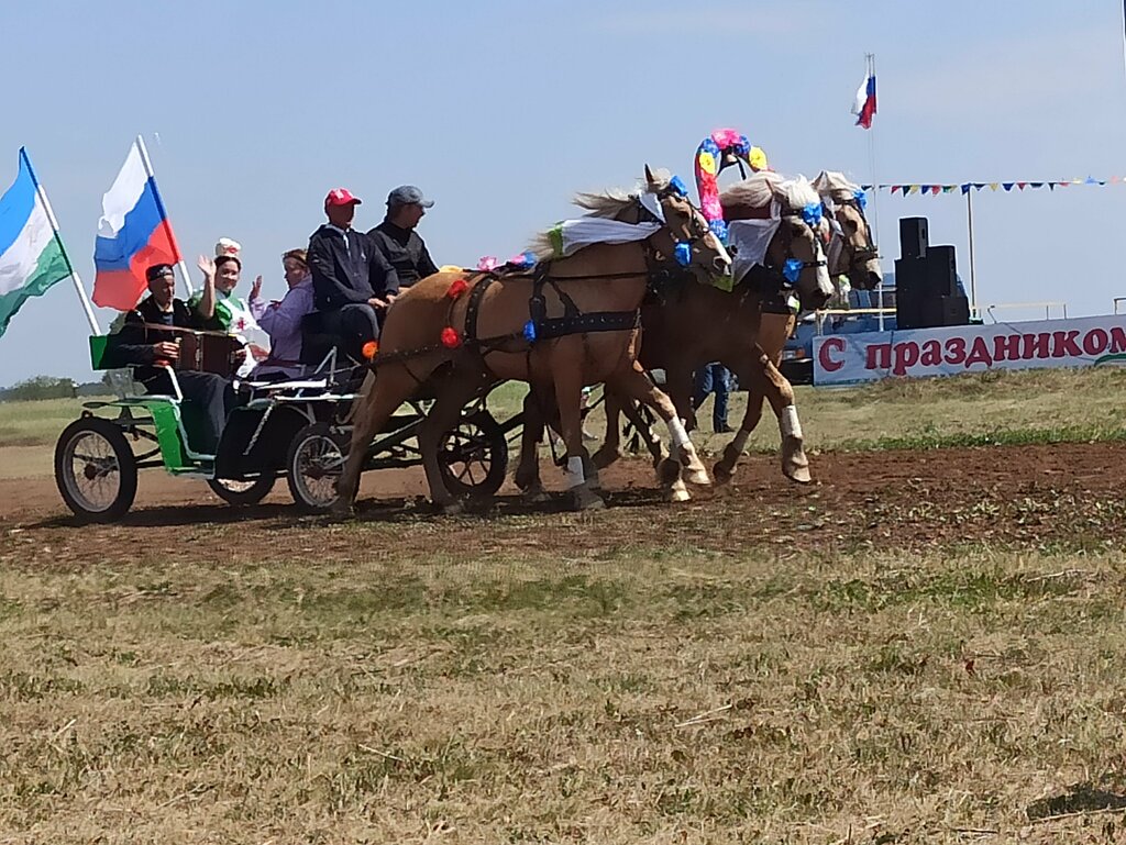 Hipodromlar Ипподром № 1, Diurtiuli, foto