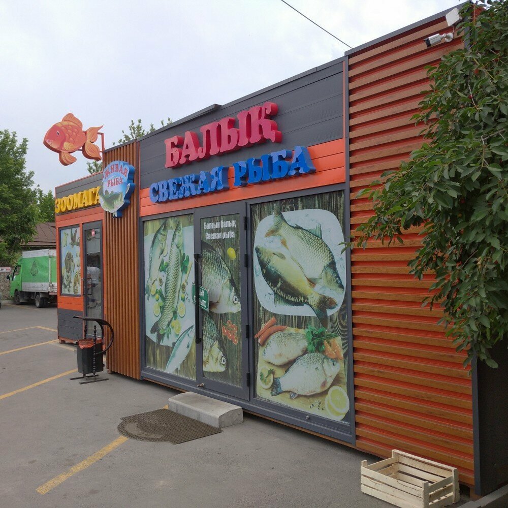 Balık ve deniz ürünleri Fish, Almatı, foto