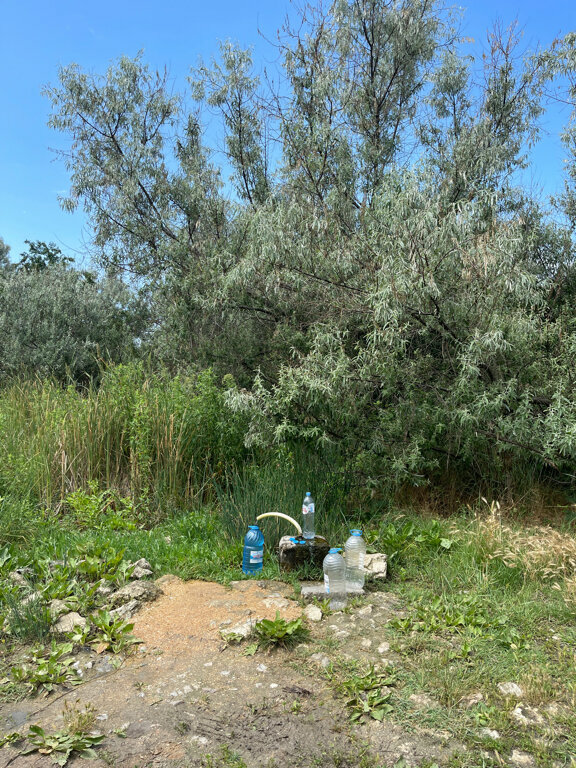 Pınar, çay Spring, stream, Kırım Cumhuriyeti, foto