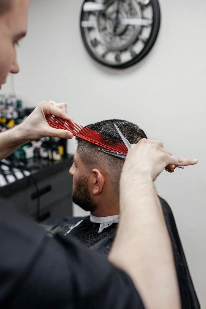 Berberler Breyman, Novosibirsk, foto