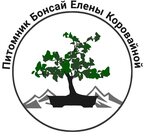 Сад бонсай (ulitsa Engelsa No:37, khutor Vesyoly), geziler  Adıge Cumhuriyeti'nden