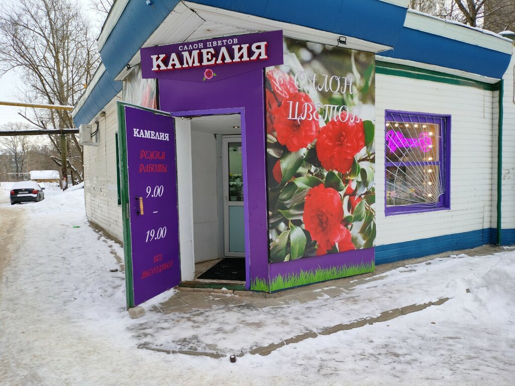 Çiçekçiler Камелия, Şuya, foto