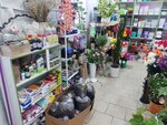 Магазин (Sovetskaya ulitsa No:29/2), banyo ve klozet mağazaları  Nelidovo'dan
