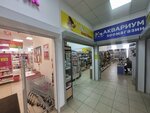 Совёнок (Karpinskogo Street No:33В), kırtasiyeler  Penza'dan
