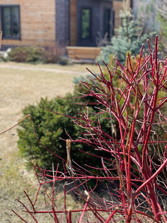 Hamamlar Барбарис, Krasnoyarski krayı, foto