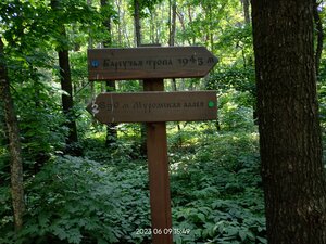 Муромский лес (Belgorodskiy rayon, gorodskoye poseleniye posyolok Razumnoye, Muromskiy les), orman  Belgorodskaya oblastından