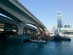 Barracuda Diving & Marine Service (B8 Building, Al Barsha 1, Al Barsha, Hadaeq Mohammed Bin Rashid, Dubai), dalış kulüpleri ve eğitim merkezleri  Dubai'den