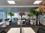 Innovative Consulting (199/8, Dubai - Al Ain Road, Dubai), danışmanlık hizmetleri