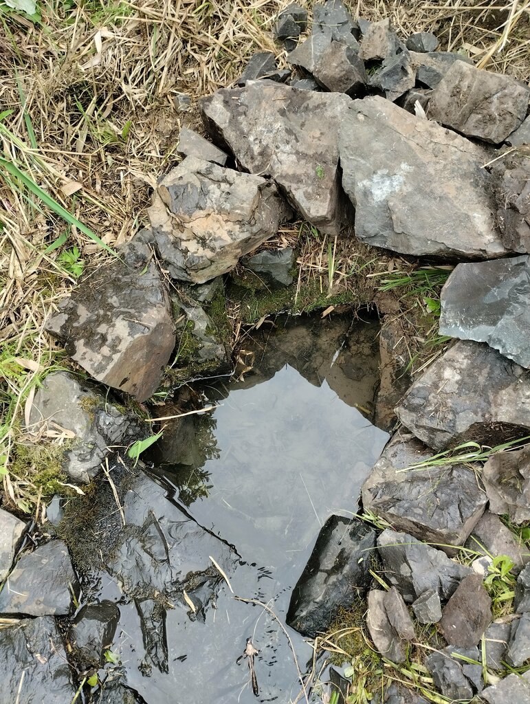 Pınar, çay Spring, stream, Brianskaya oblastı, foto
