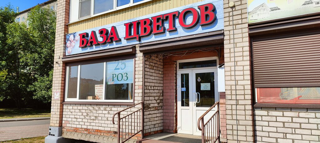 Çiçekçiler Baza tsvetov, Cherepovets, foto