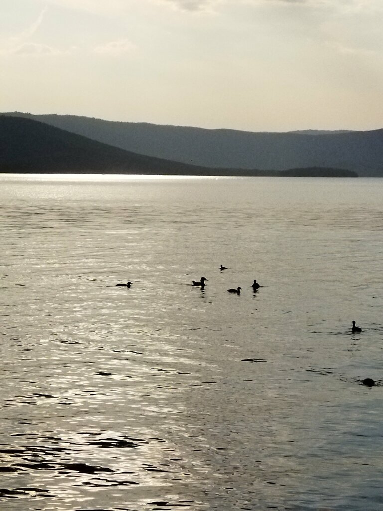 Tatil köyleri База отдыха Утёс, Çeliabinskaya oblastı, foto