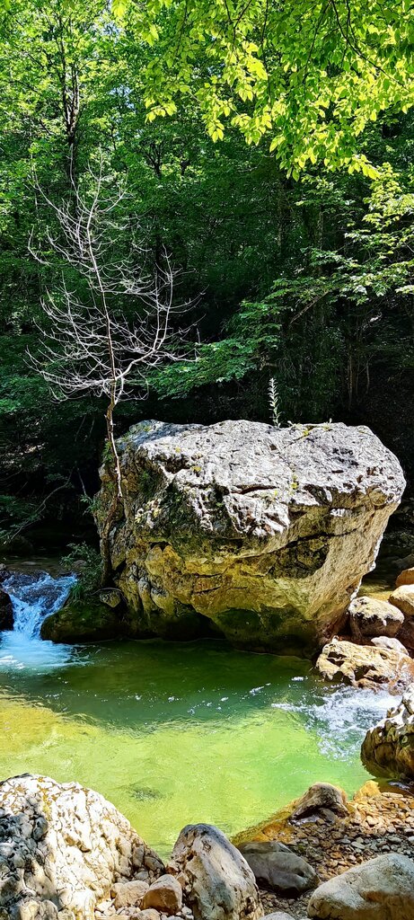 Turistik yerler Скала-кобра, Kırım Cumhuriyeti, foto