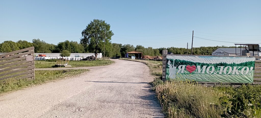Çöp alanları Trash and garbage disposal area, Vladimirskaya oblastı, foto