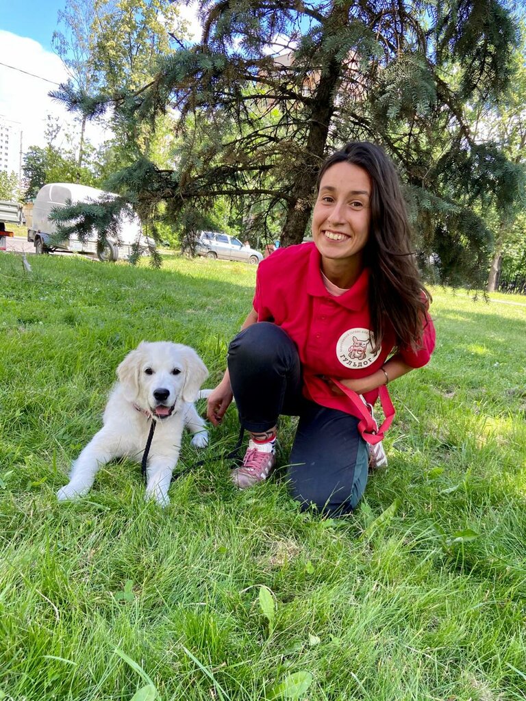 Uzman hizmetleri Гульдог, Сервис по Выгулу Собак, Moskova, foto